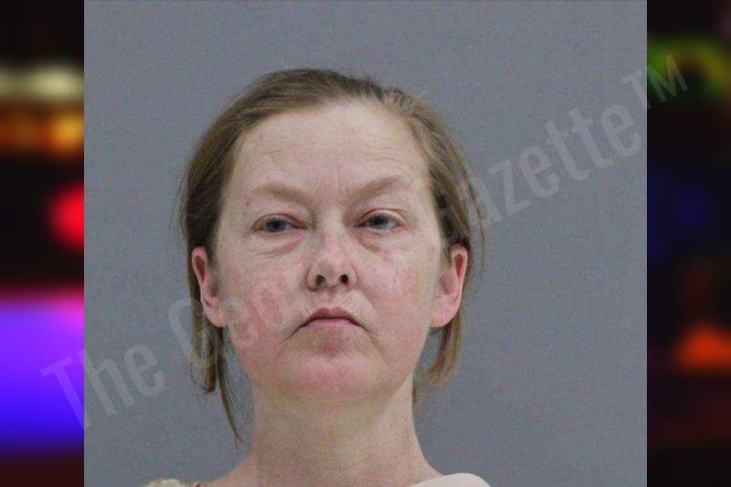 Carrie Stecklein — Rabun County Jail Bookings