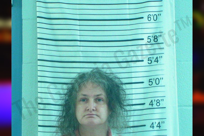 Vicki Steele — Stephens County Jail Bookings
