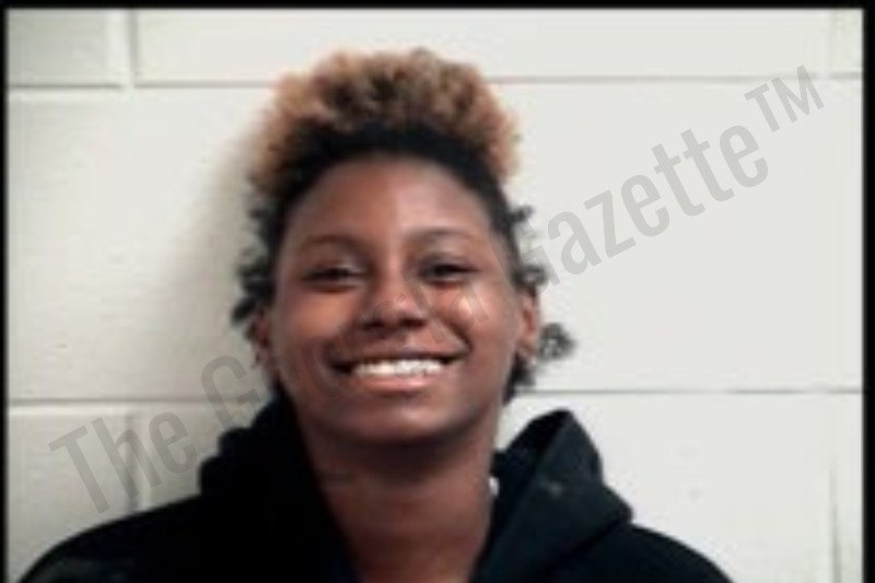 Danielle Stillwell — Henry County Jail Bookings
