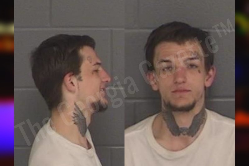 Taylor Shedd — Barrow County Jail Bookings