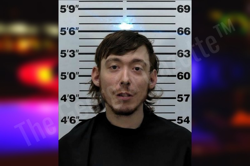 David Smith — Hart County Jail Bookings