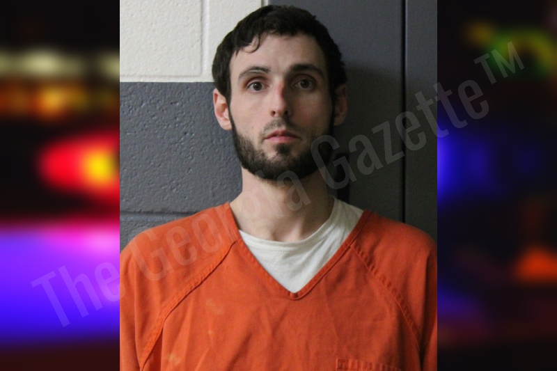 Brandon Sosebee — Lumpkin County Jail Bookings