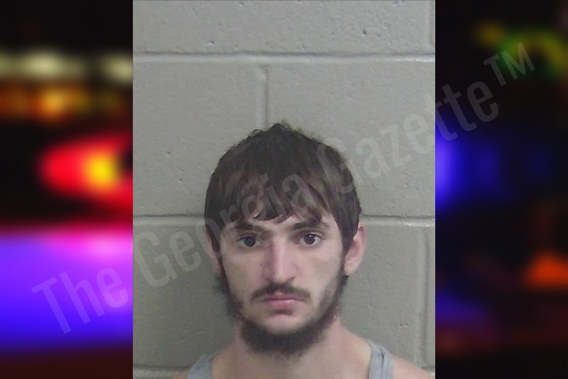 Carson Steverson — Wayne County Jail Bookings