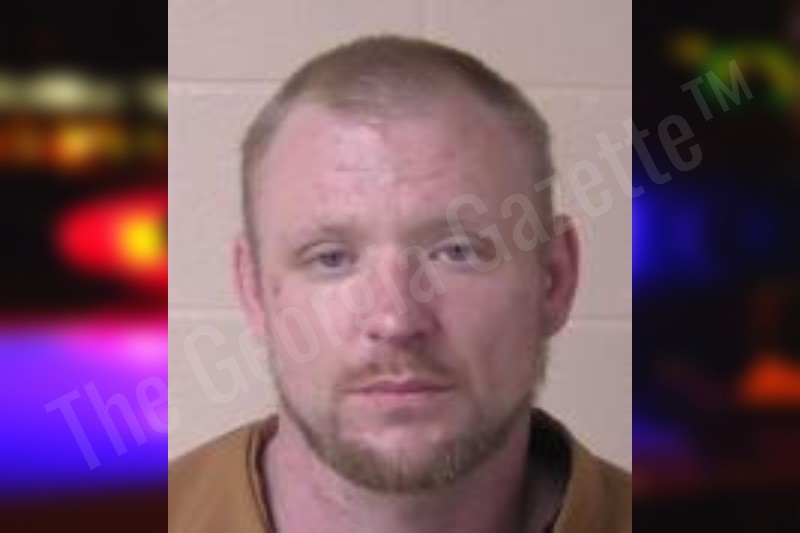 Christopher Swann — Walker County Jail Bookings