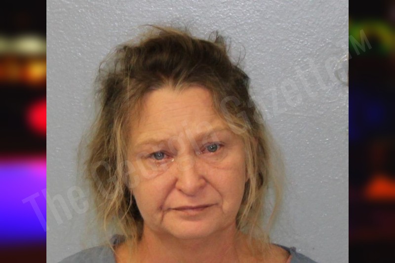 Brandi Thacker — McIntosh County Jail Bookings