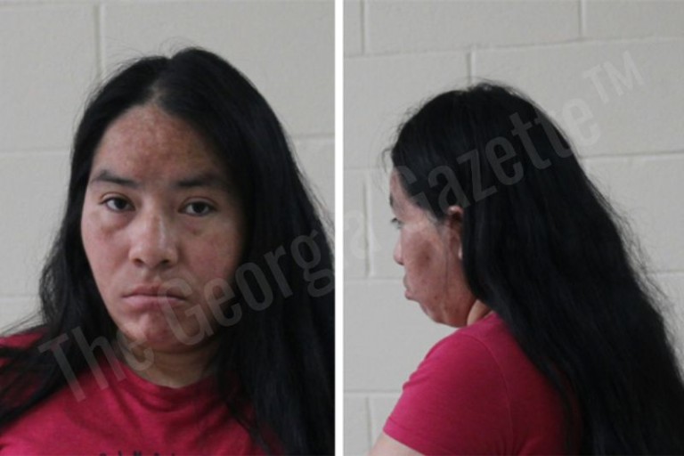 Magdalena Vasquez-Mendez — Houston County Jail Bookings