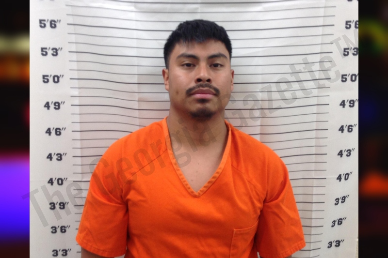 Alex Vicente — Pickens County Jail Bookings