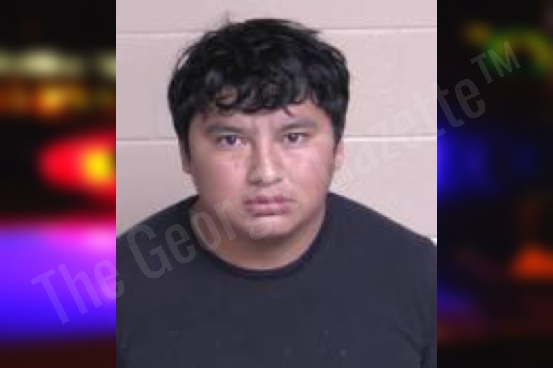 Alex Vicente-Ramos — Walker County Jail Bookings