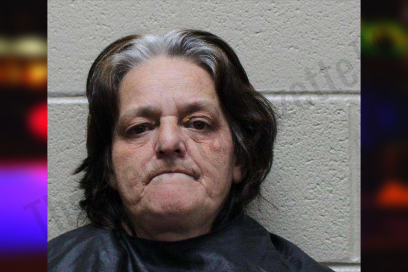 Aprilean Wise — Haralson County Jail Bookings