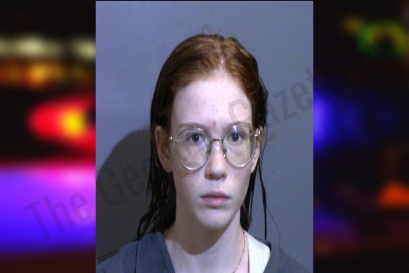 Shaelyn Wilmes — Glynn County Jail Bookings