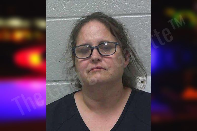 Sherri Adams — Gilmer County Jail Bookings