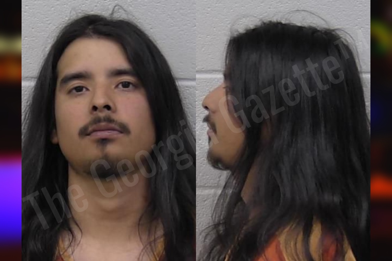 Carlos Alvarez — Paulding County Jail Bookings