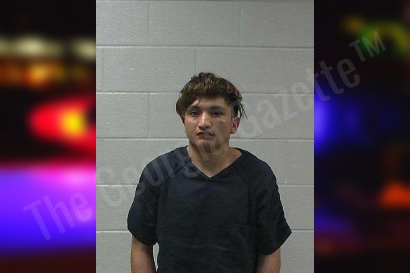 Pedro Andres — Gilmer County Jail Bookings