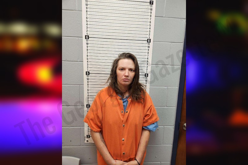 Casey Brannen — Evans County Jail Bookings