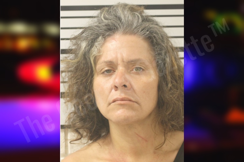 Nichole Bronson — Toombs County Jail Bookings