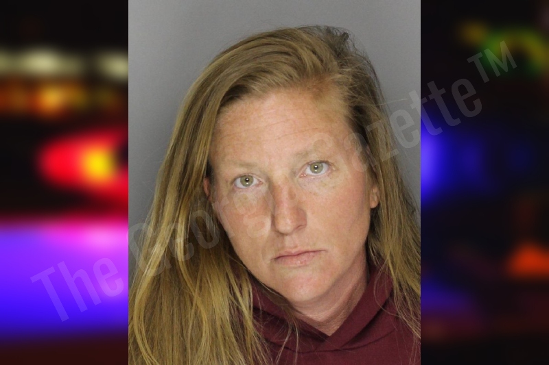 Lauren Bryson — Cobb County Jail Bookings