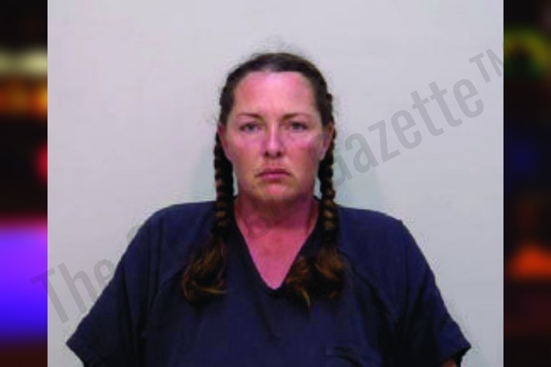 Brandy Baker — Bartow County Jail Bookings