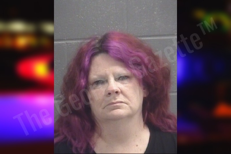 Virginia Bannister — Spalding County Jail Bookings