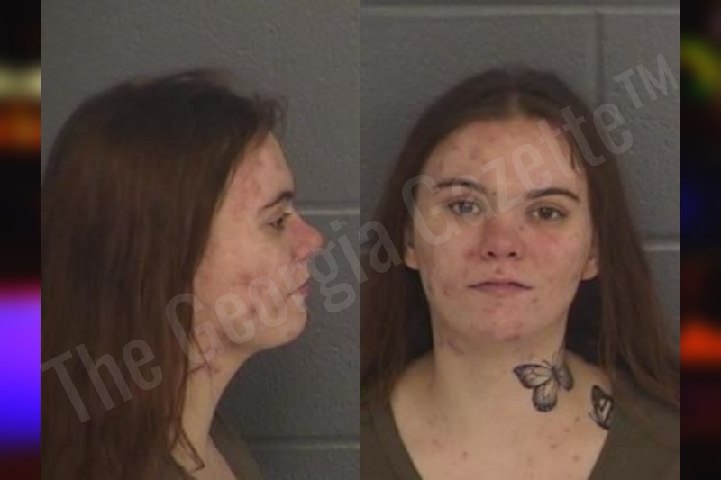 Rebecca Baughcum — Barrow County Jail Bookings