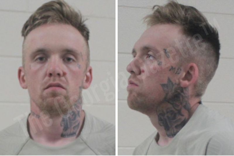 Morgan Bone — Houston County Jail Bookings