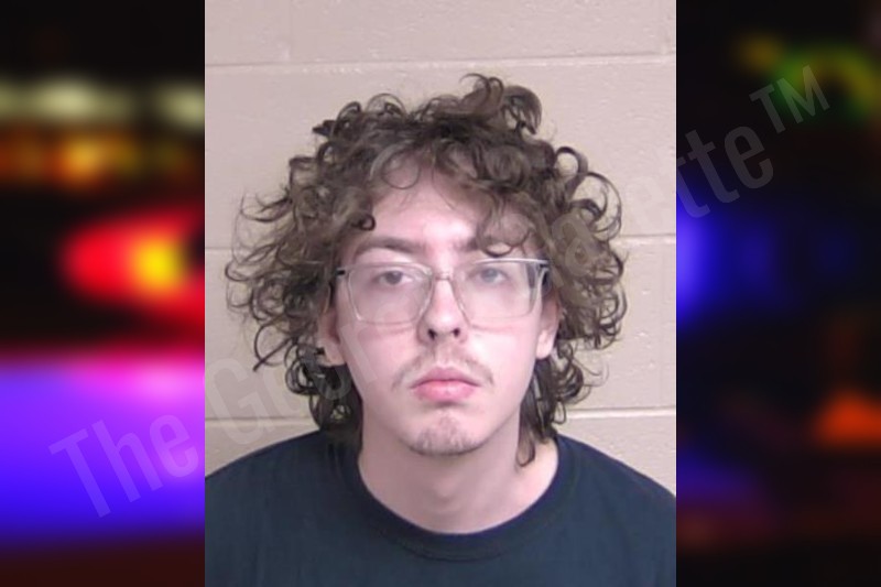 Justin Bonnick — Walker County Jail Bookings