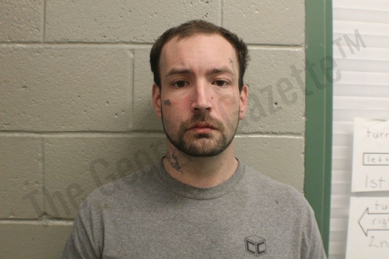 Blake Boyer — Wayne County Jail Bookings