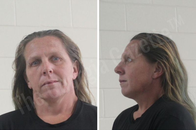 Cherise Brow — Houston County Jail Bookings