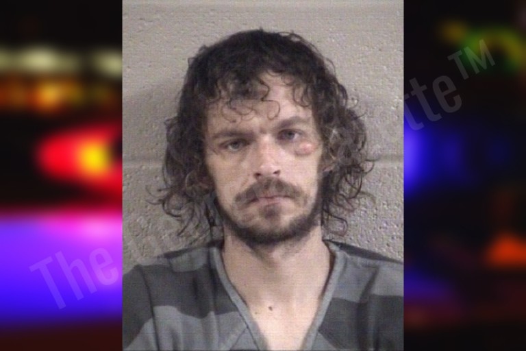 Whitfield County Jail Bookings – Page 8 – The Georgia Gazette