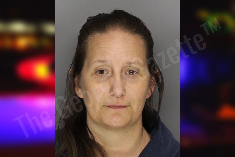 Erica Cabrera — Cobb County Jail Bookings