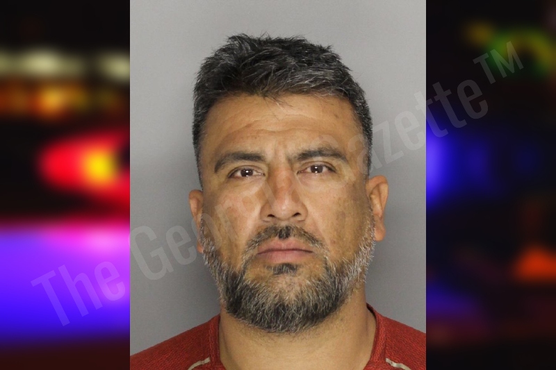 Fredy Castaneda — Cobb County Jail Bookings