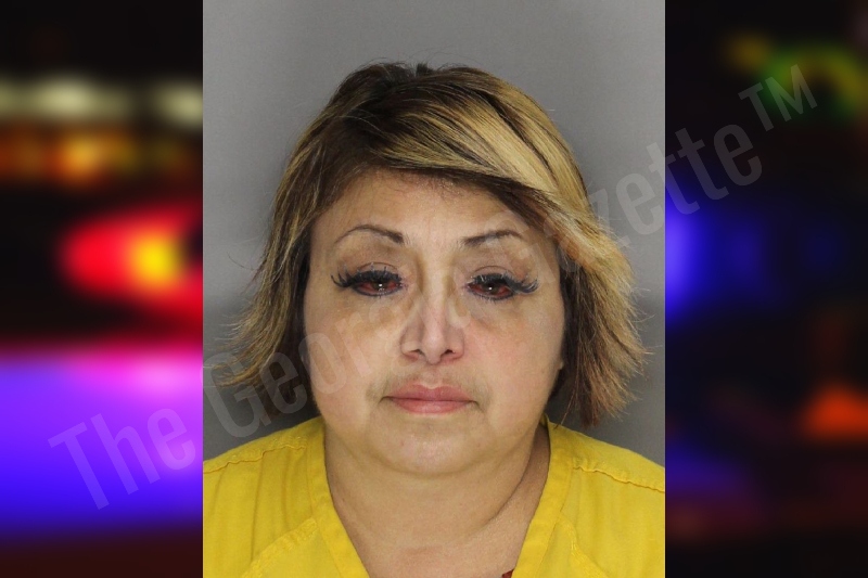 Yolanda Castillo — Cobb County Jail Bookings