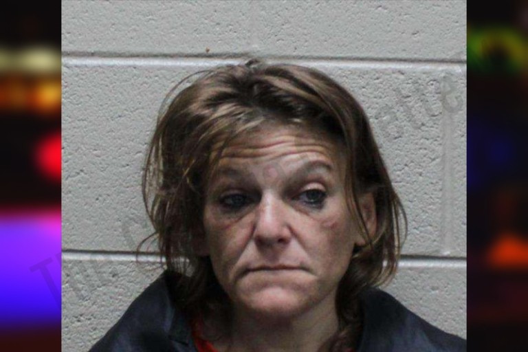 Robin Cook — Haralson County Jail Bookings