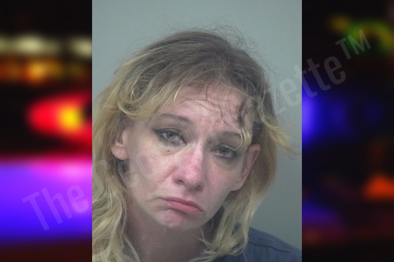 Jessica Cramer — Gwinnett County Jail Bookings