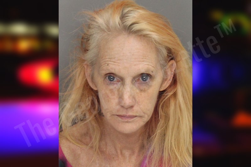 Debra Cross — Cobb County Jail Bookings