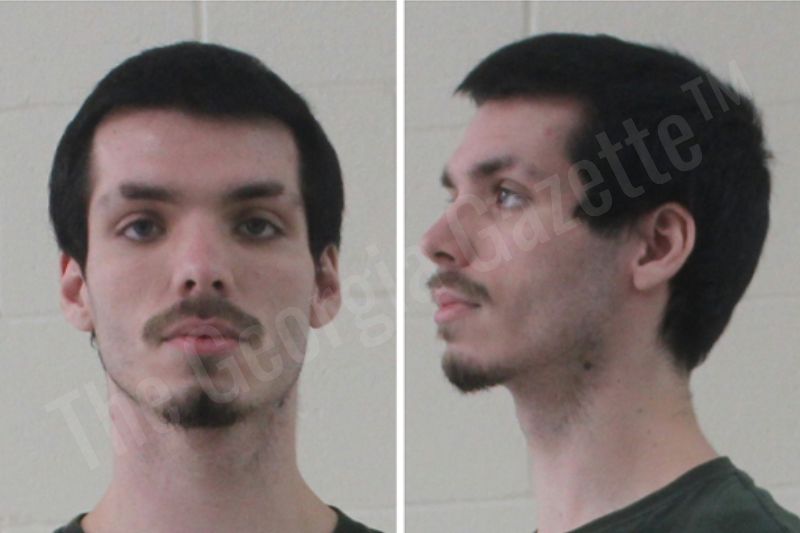 Dalton Clark — Houston County Jail Bookings