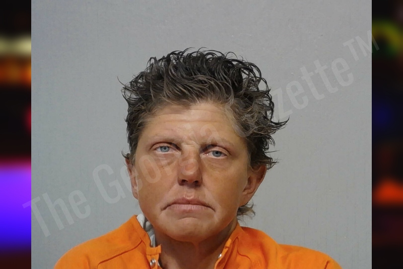 Crystal Cook — Bibb County Jail Bookings