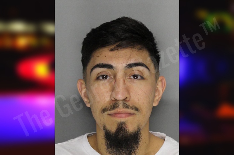 Brian Delgado — Cobb County Jail Bookings