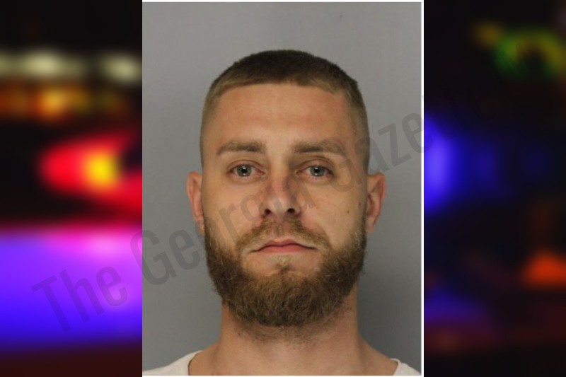 Seldin Dizdarevic — Hall County Jail Bookings