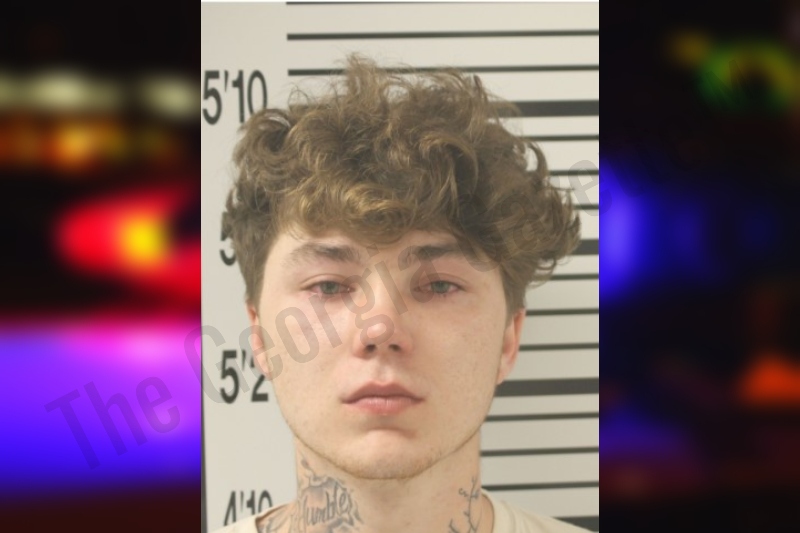 David Drew — Toombs County Jail Bookings