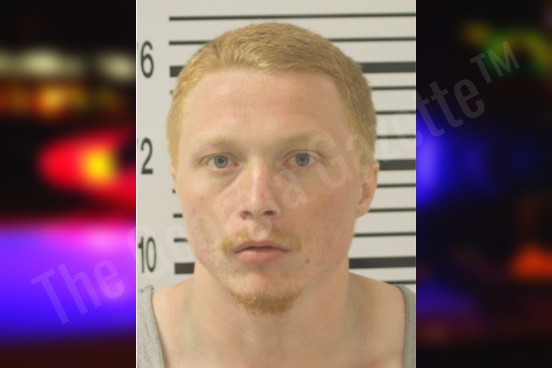 Thomas Drew — Toombs County Jail Bookings