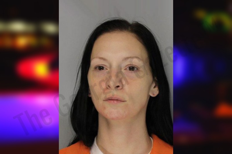 Hollie Dubnik — Hall County Jail Bookings