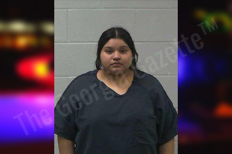 Amy Domingo — Gilmer County Jail Bookings