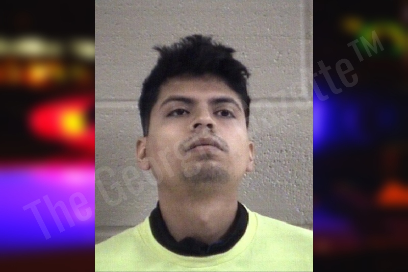 Ligne Duran — Whitfield County Jail Bookings