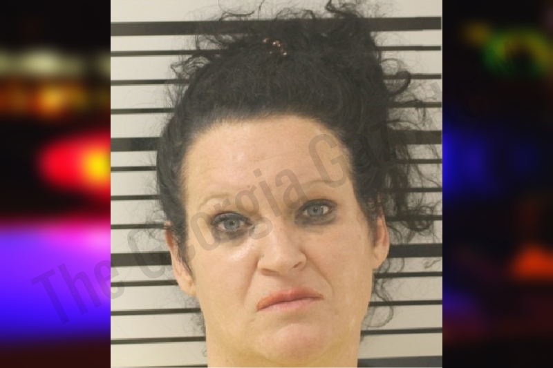 Megan Erhard — Toombs County Jail Bookings