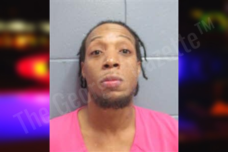 Rodney Ellis — Lee County Jail Bookings