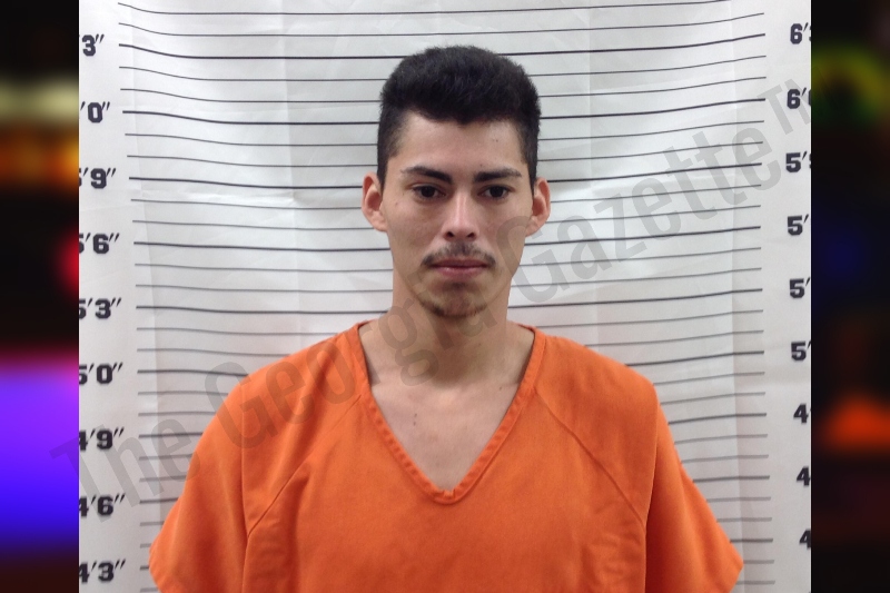 Jose Escobar Tellez — Pickens County Jail Bookings