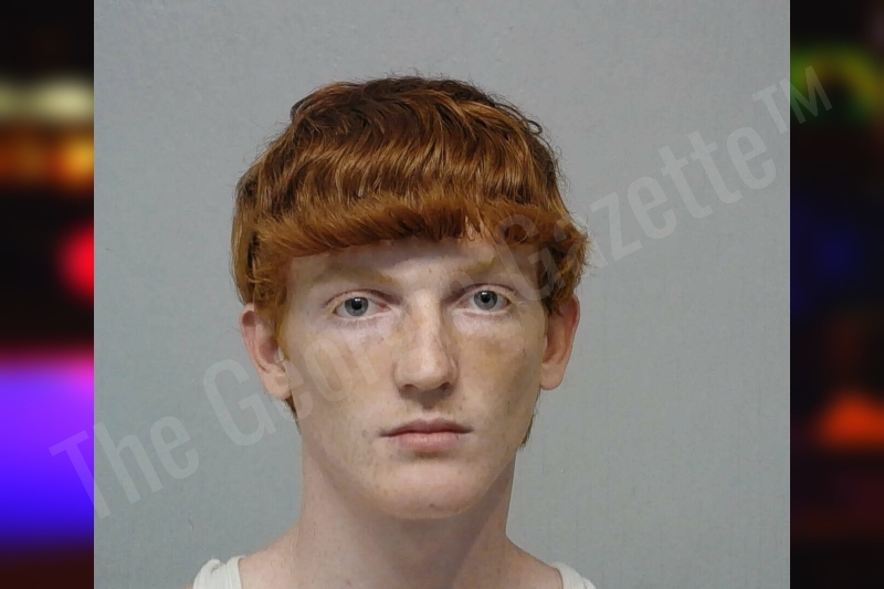 Ethan Wilson — Bibb County Jail Bookings