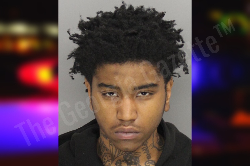 Emmanuel Fair — Cobb County Jail Bookings