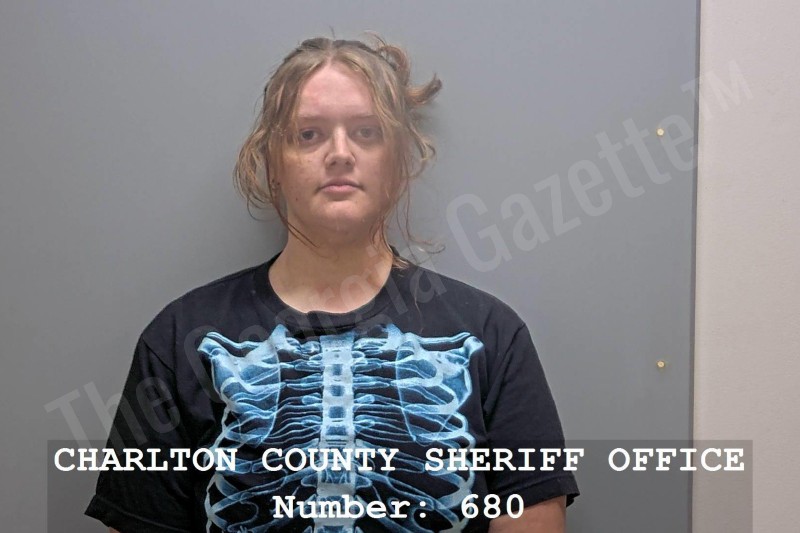 Kayla Flanders — Charlton County Jail Bookings