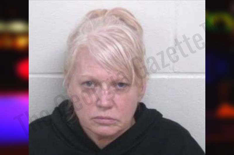 Cynthia Foley — Washington County Jail Bookings